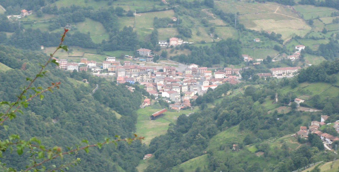 Un abeto en Villoria - Belén Suárez Prieto
